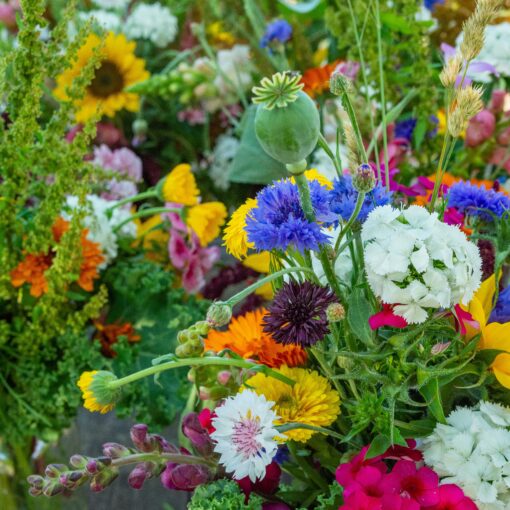 Farm Fresh Flowers – Land’s Sake