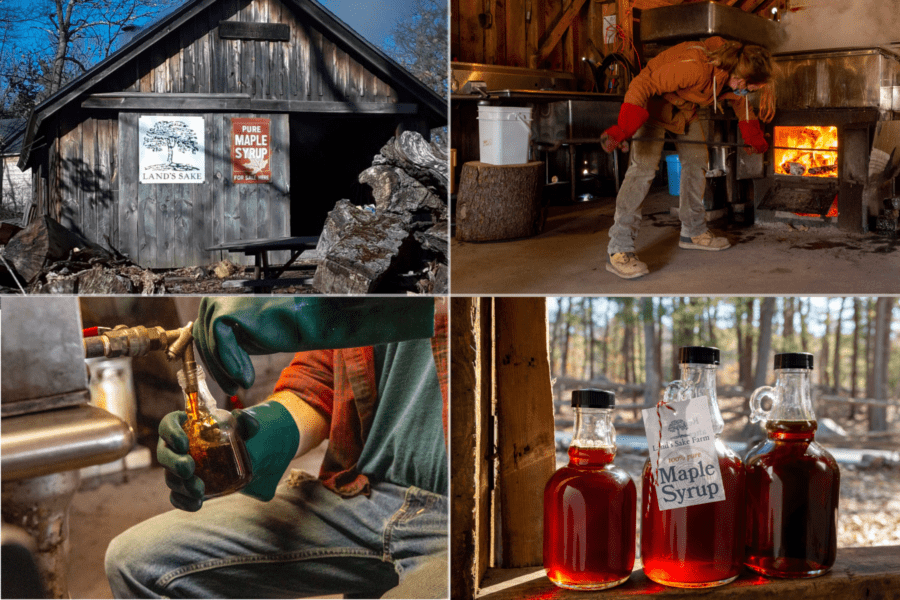 Sugaring Off Festival – Land’s Sake