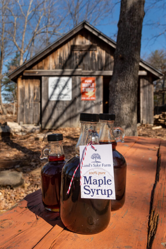 Maple Syrup Production – Land’s Sake