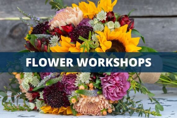 Farm Fresh Flowers – Land’s Sake