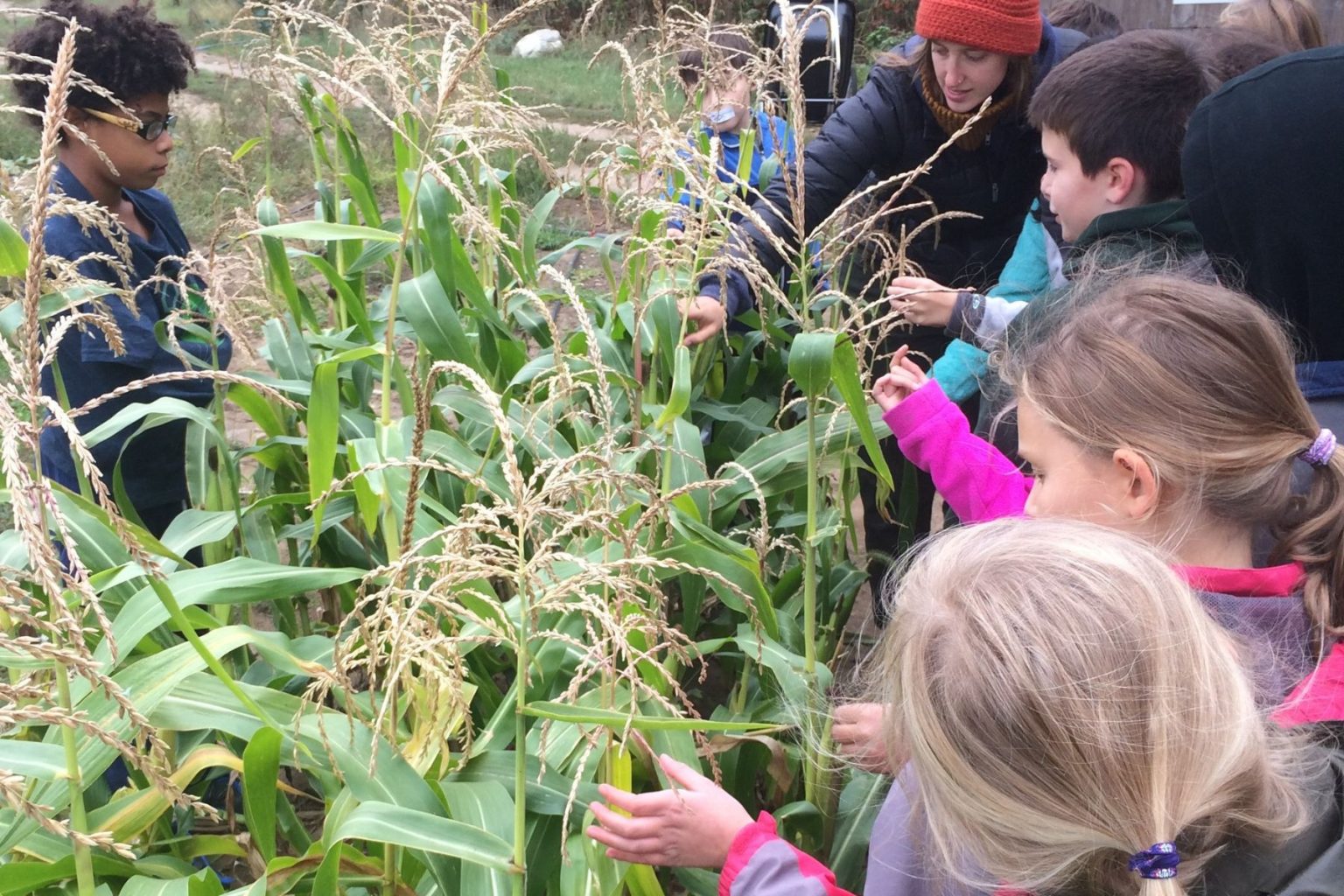 Field Trips & Group Farm Visits – Land’s Sake