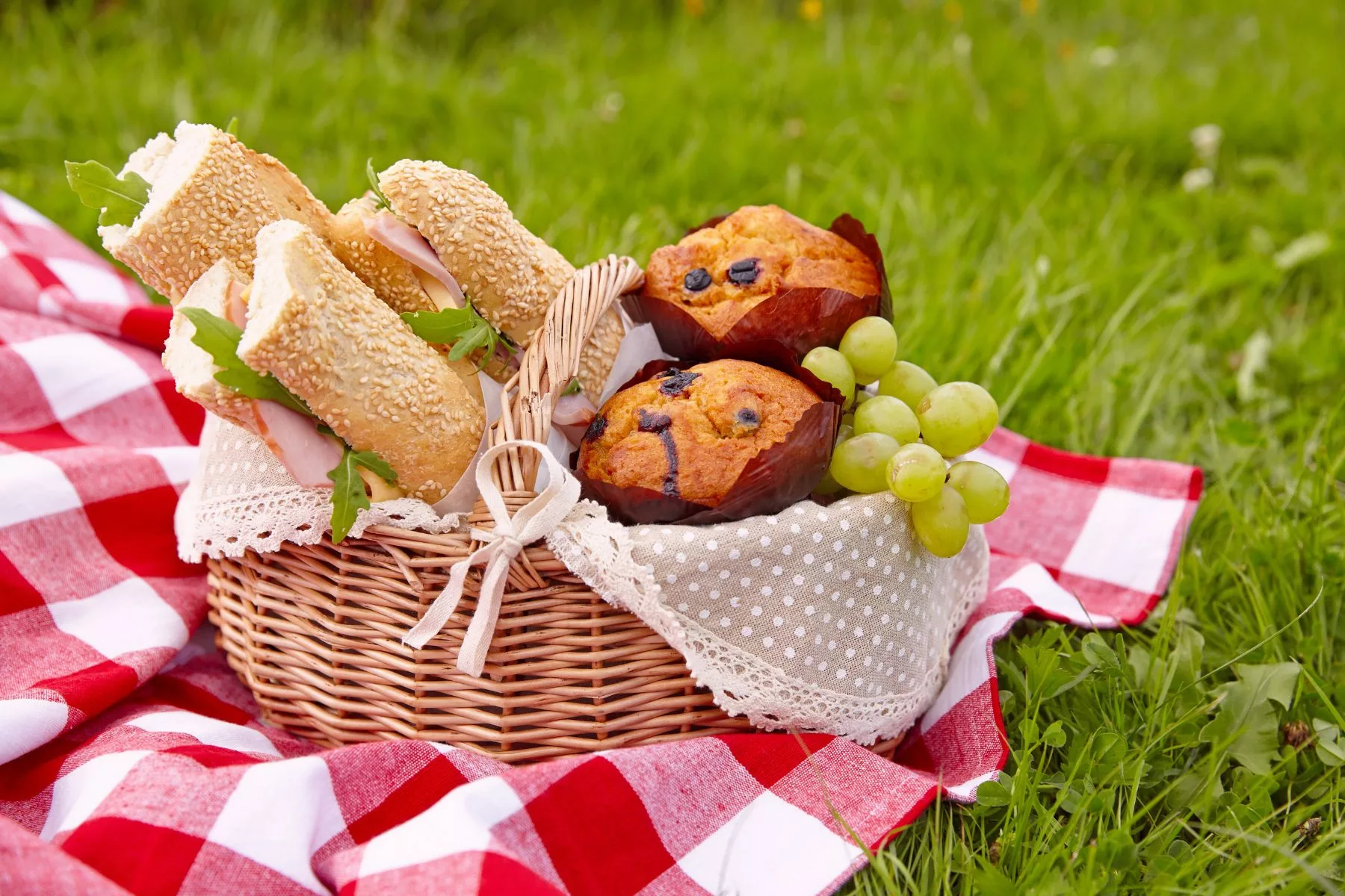 Picnic at Picnic Hill – Land’s Sake